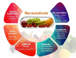 Use of Nutraceuticals | IIMT University Insights