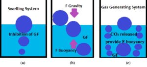 Floating Drug Delivery System | IIMT University