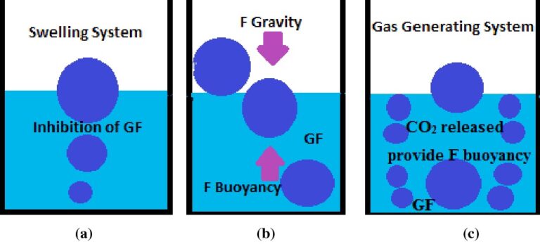 A Blog on Floating Drug Delivery System - IIMT University Official Blog ...
