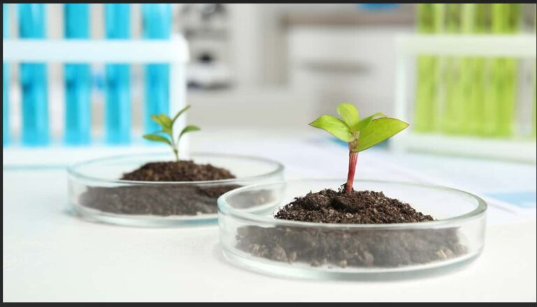 Botany: An Overview | Scope, Importance & Career Opportunities