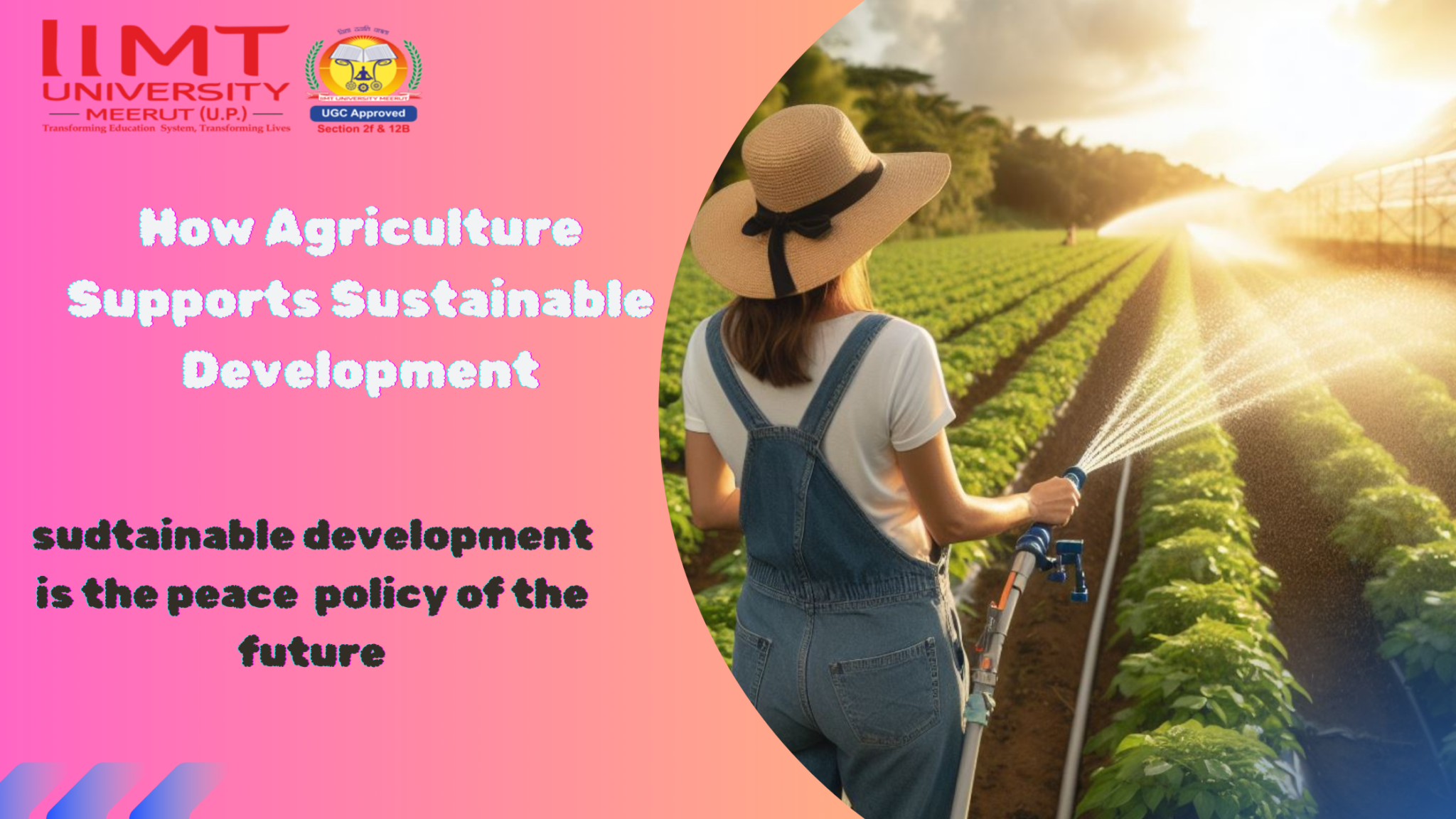 Exploring How Agriculture Supports Sustainable Development - IIMT ...