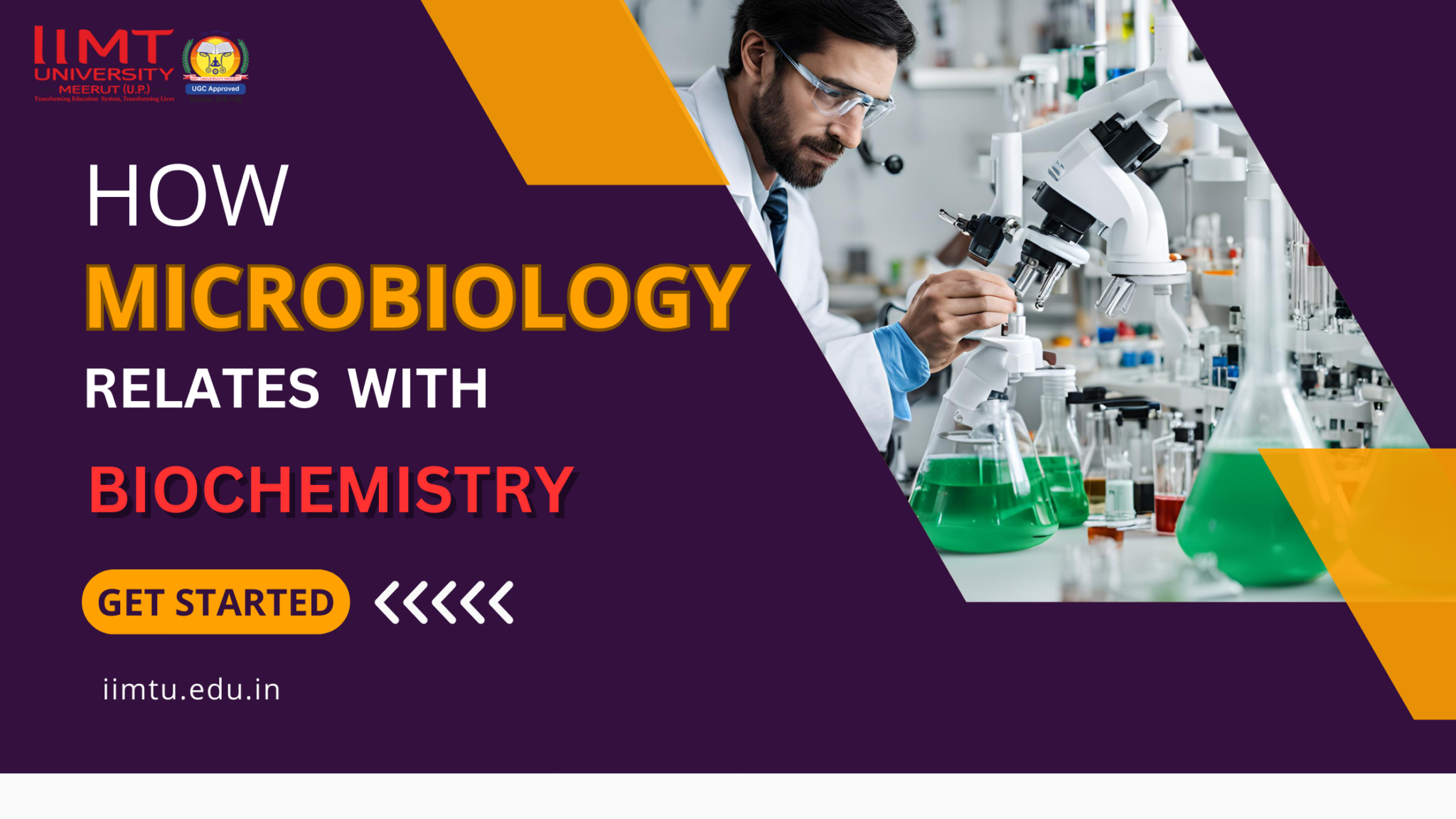 Biochemistry: How Microbiology Relates unraveling the Intricacies ...