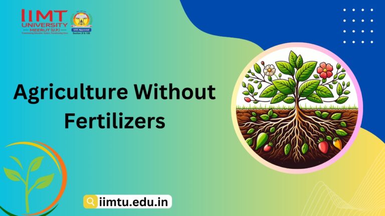Agriculture Without Fertilizers: Explore organic farming - IIMT ...